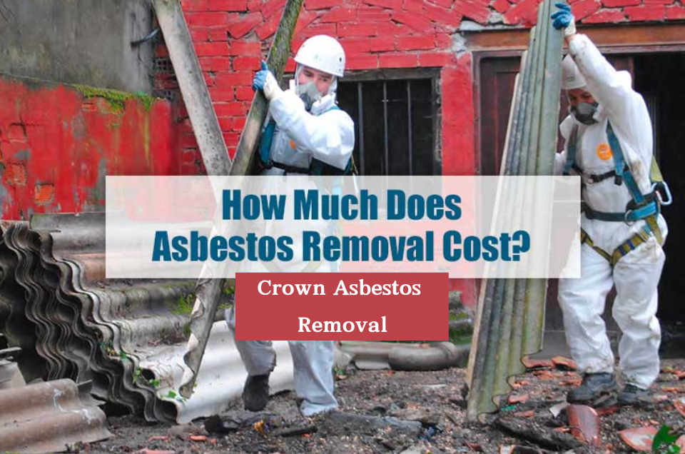 How Do You Remove Asbestos? Safe Removal Guide