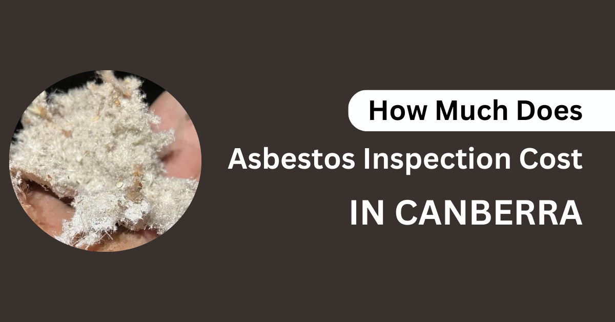 How Much Does Asbestos Inspection Cost in Canberra?